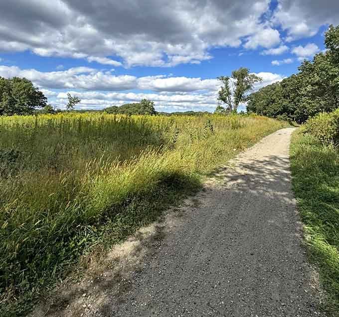 Summer skies stretch endlessly above wetlands teeming with life, proving Illinois has serious natural credentials.