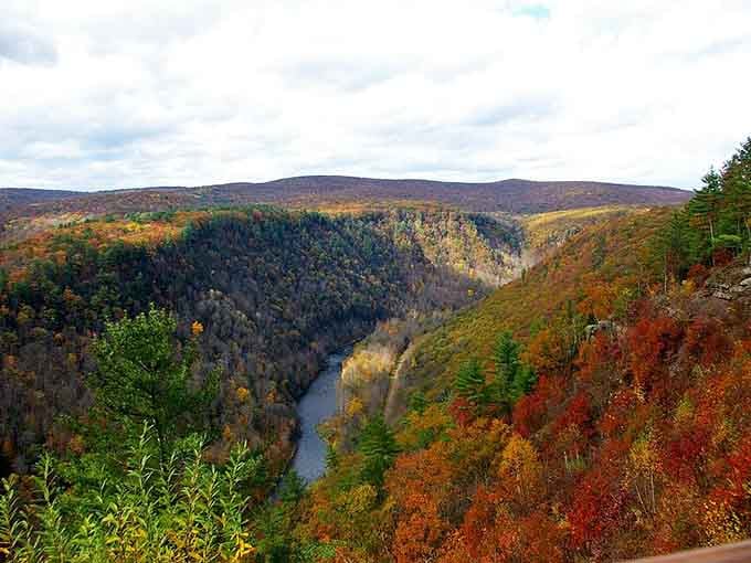 Fall transforms the gorge into nature's most spectacular paint-by-numbers, except the artist clearly ignored all the rules about restraint.