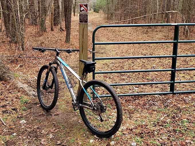 Mountain bikes meet forest trails where adventure seekers find their perfect escape from modern chaos.