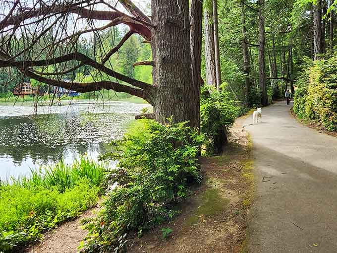 Island Lake's walking path follows the water's edge, offering scenery that makes exercise almost feel worthwhile.