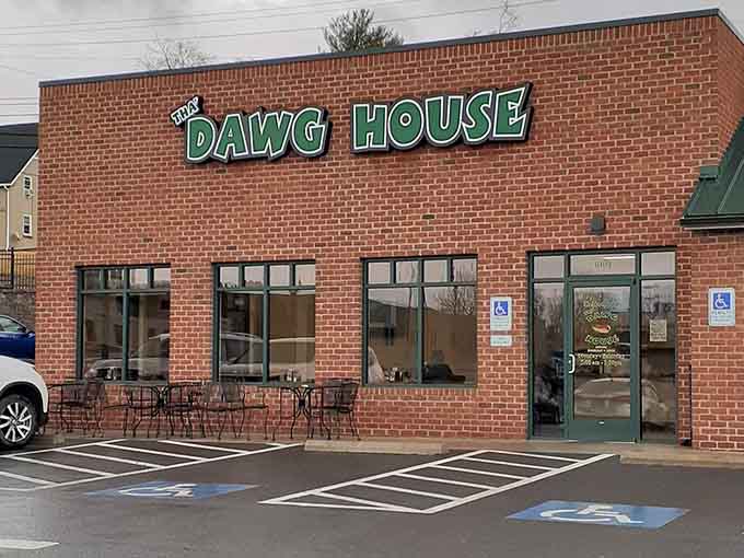Tha' Dawg House serves up comfort food without the pretentious farm-to-table speeches about ingredient sourcing origins.