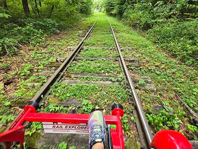Your view from the captain's seat: endless green forest tunnel stretching ahead, inviting you to pedal into pure tranquility.
