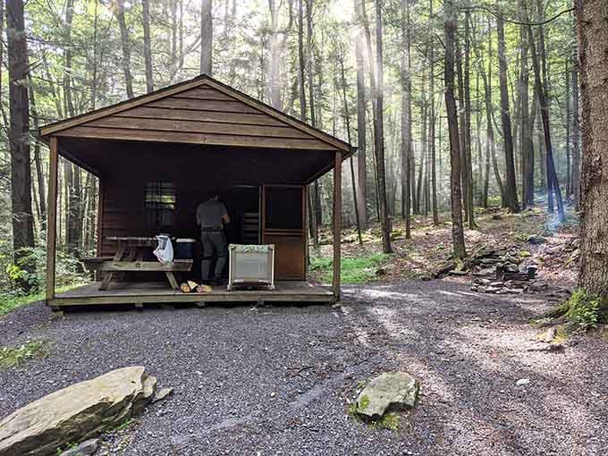 Rustic camper cabins nestle among towering pines, offering shelter that's civilized enough without sacrificing that authentic wilderness feeling completely.