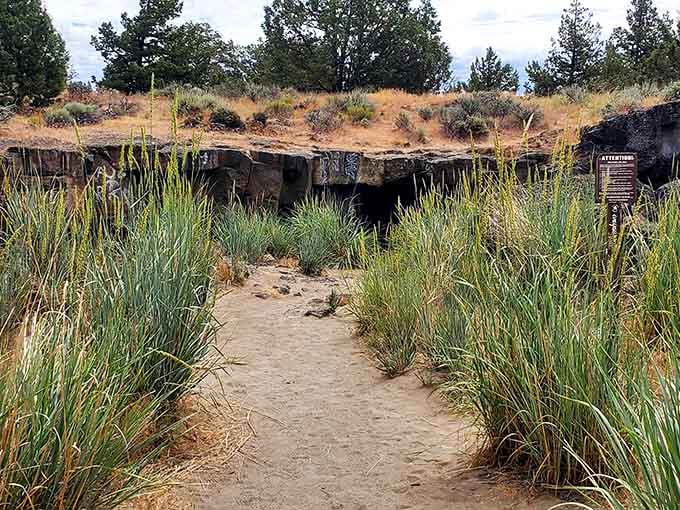 Tall grasses frame the entrance like nature's own welcome mat to an underground adventure park.