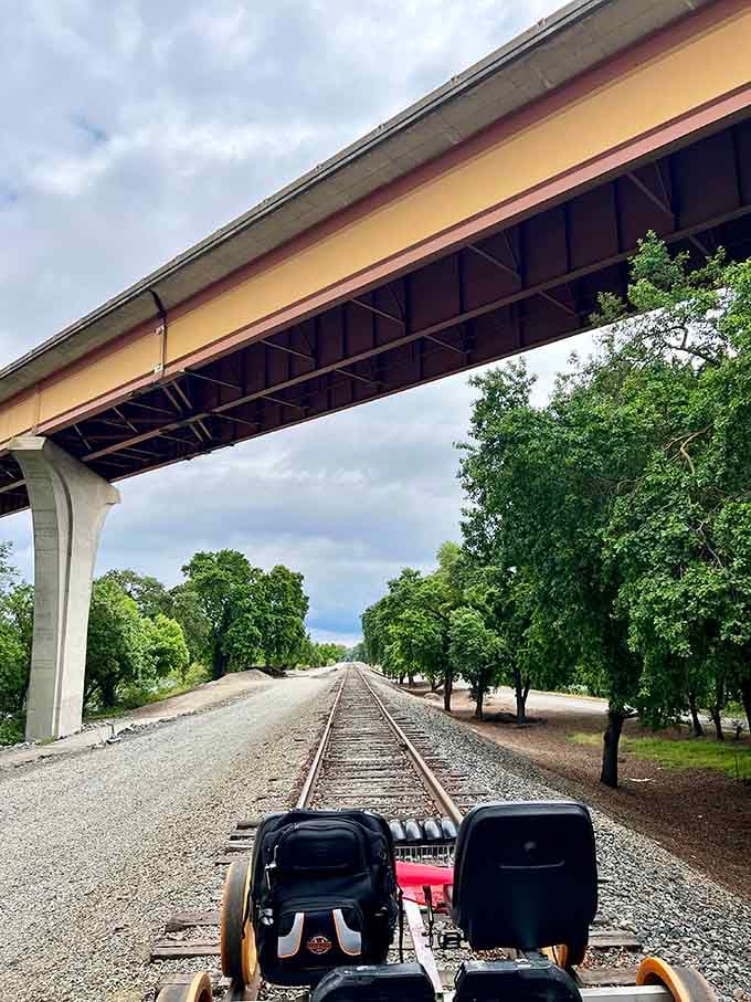 Pedaling beneath massive concrete spans, where infrastructure becomes part of the scenic route somehow.
