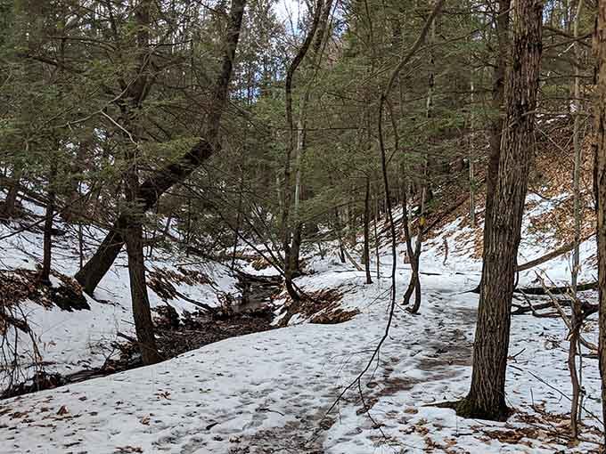 Winter transforms the trails into something from Narnia, minus the talking lions and Turkish delight temptations.