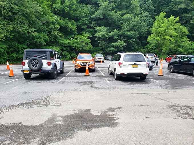 The parking lot fills up fast on beautiful days, proof that locals know a good thing.