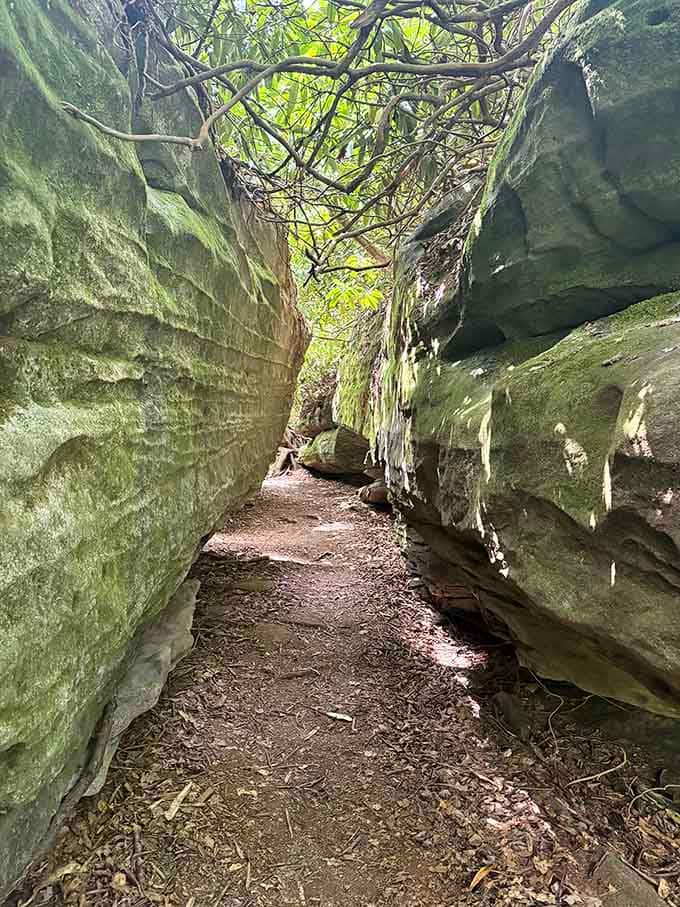 Vibrant green moss paints the stone walls, creating living art that no museum could ever hope to replicate.
