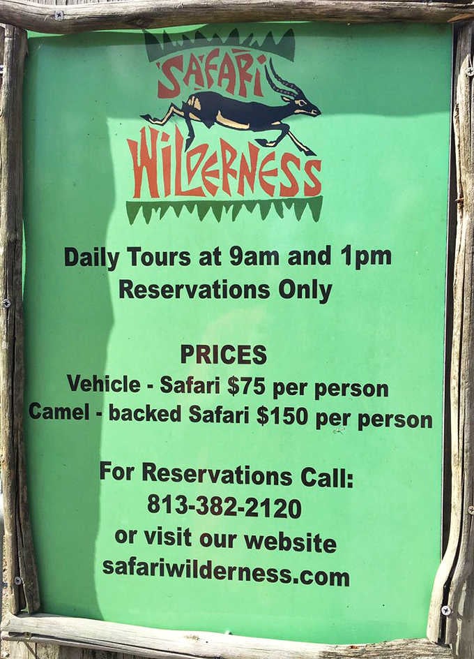 The gateway to adventure, where reservations turn into memories and phone calls lead to zebra encounters.