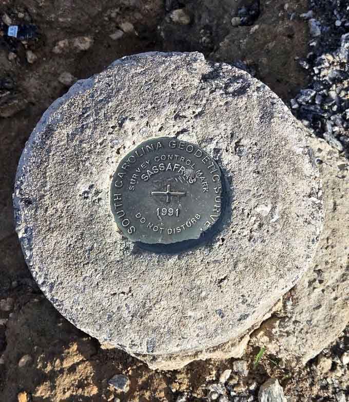 The geodetic survey marker proves this is officially the top&mdash;no arguments, just facts and fantastic views.