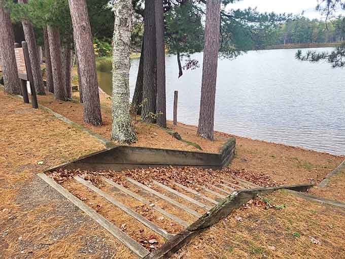 Stone steps leading down to the water, each one a small commitment to actually going for that swim.