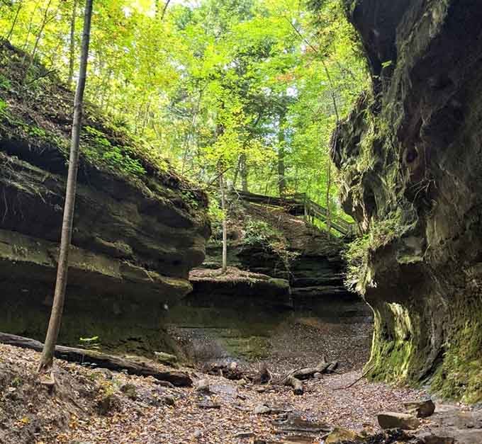 Standing in this natural amphitheater makes you feel wonderfully small, like nature's reminding you who's really in charge here.