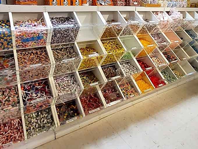Bulk candy bins offering sweet nostalgia by the pound, no fancy packaging necessary for happiness.