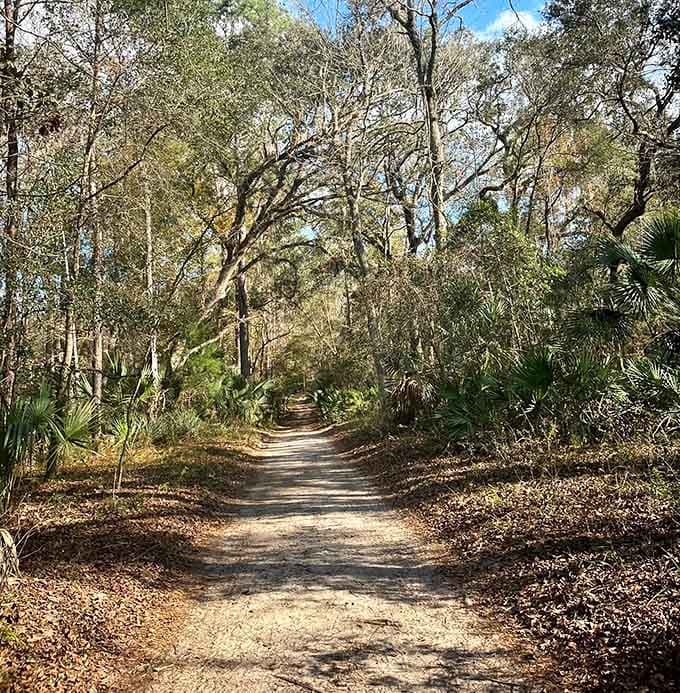 Multiple trail options mean you can choose your own adventure, from casual stroll to serious expedition mode.