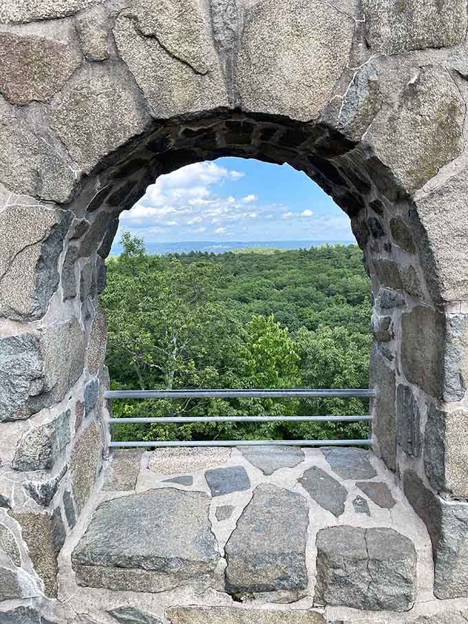 Every archway becomes a natural picture frame, capturing miles of forest stretching toward distant horizons like a living painting.