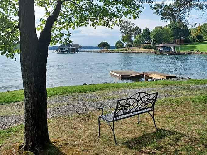 The perfect bench for contemplating life's big questions, like why you don't visit this lake more often than you do.