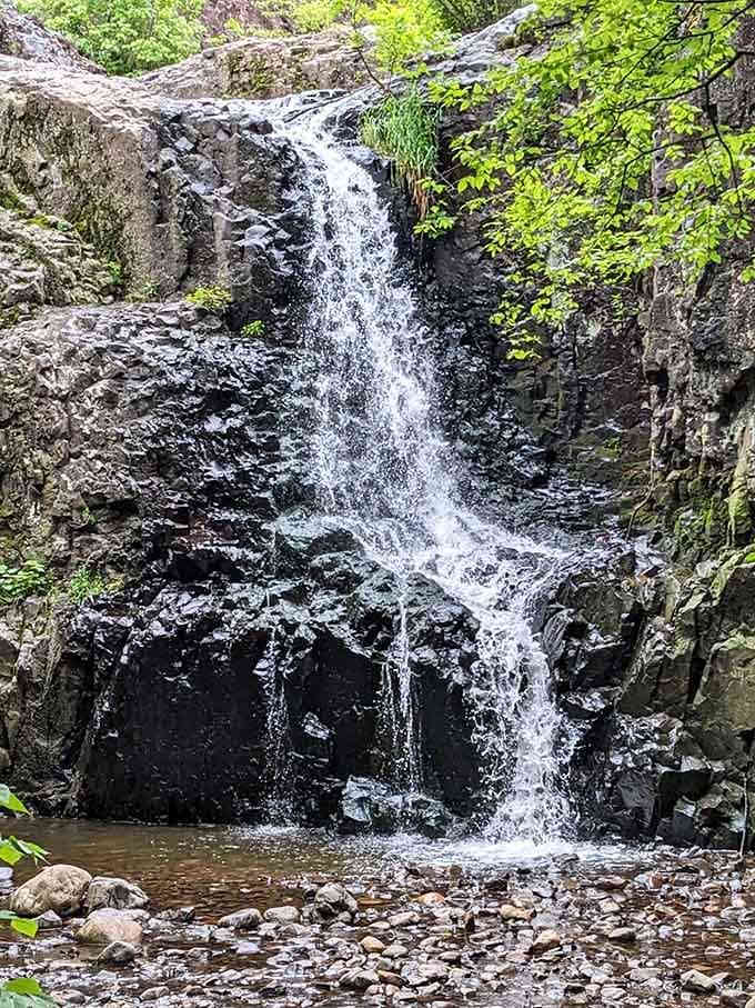 Hemlock Falls cascades over dark rocks with the kind of natural beauty that makes you forget you're in New Jersey.
