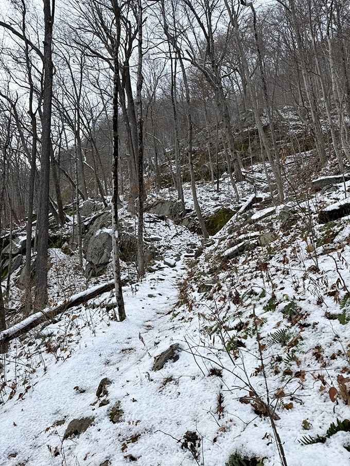 Snow adds an extra layer of adventure, turning a tough hike into a legitimate winter expedition.