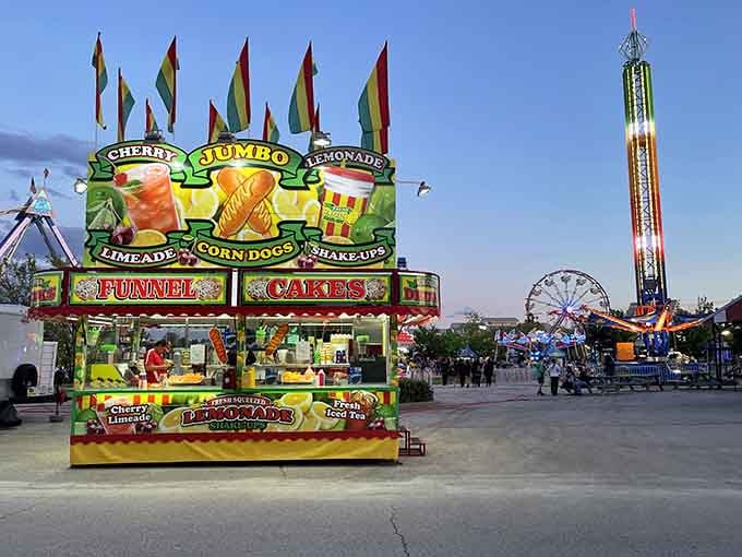 County fair vibes where funnel cakes and questionable ride safety create perfect summer memories together.