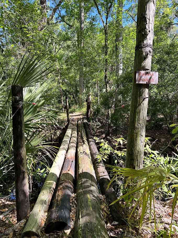 Hand-hewn log bridges cross trickling streams, built sturdy enough to carry curious explorers toward their historical destination.