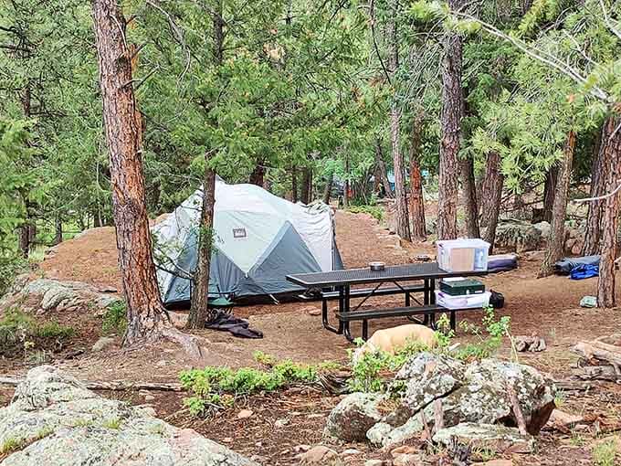 Campsites tucked among ponderosa pines offer the perfect blend of wilderness and "I still have my coffee maker" comfort.