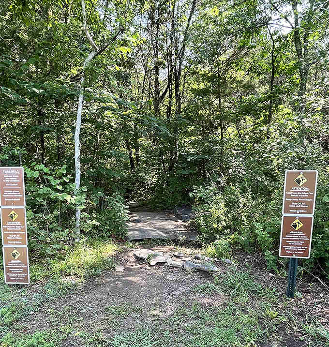 The trailhead signs provide all the important information, though nothing quite prepares you for the actual experience of descending below.