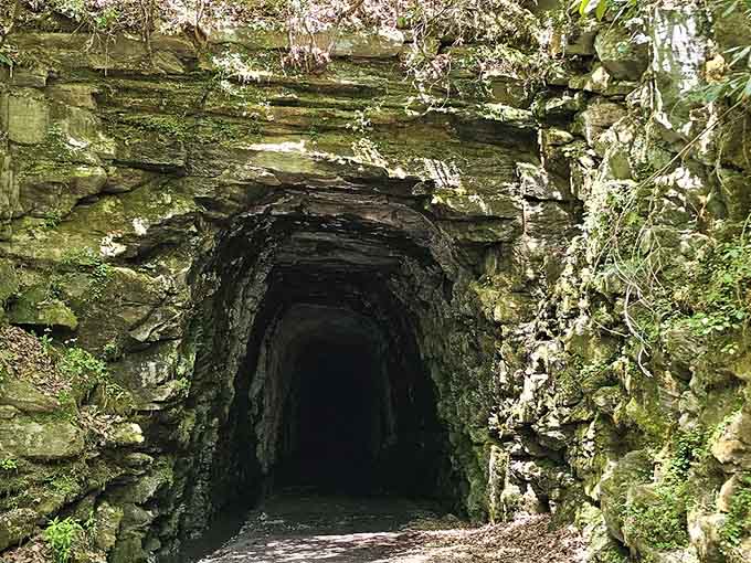 The path less traveled leads to this geological time capsule where failure became its own kind of success story.