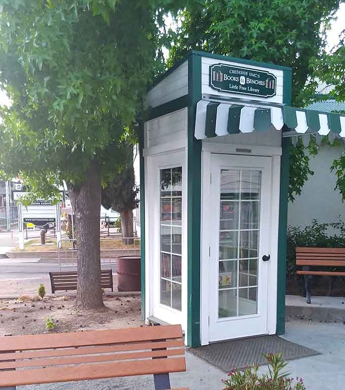 A Little Free Library that's more charming than most people's actual houses, proving books deserve good real estate too.