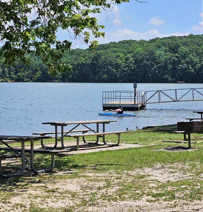 Picnic tables with million-dollar views, where even gas station sandwiches taste like they were prepared by professionals.