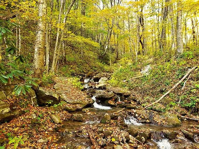 Pinnacle Park's trails wind through fall colors that look like nature's showing off for the camera.
