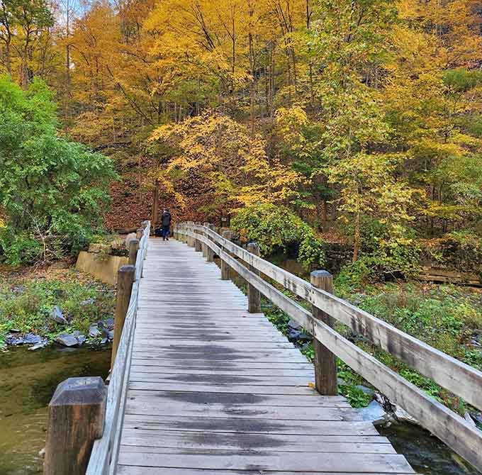This peaceful path through fall foliage is basically therapy, except it costs less and smells better.
