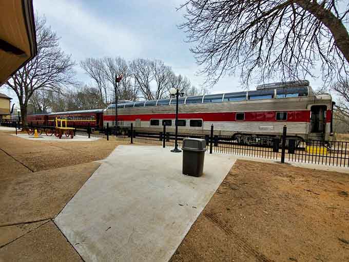 Bare winter trees frame the sleek passenger car, proving every season brings its own kind of magic here.