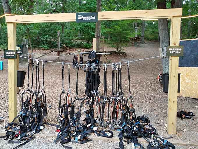 Harnesses hanging like promises of adventure, or threats, depending on your relationship with heights and exercise.