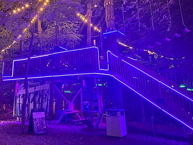 When they said "follow the light," they meant this stunning purple pathway through Virginia's most electrifying forest experience.