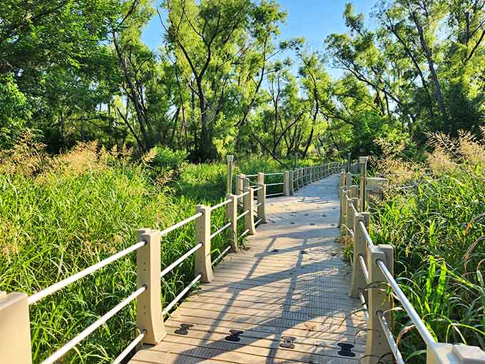 Shaded sections provide relief from Texas sun while maintaining those postcard-perfect views you came for.