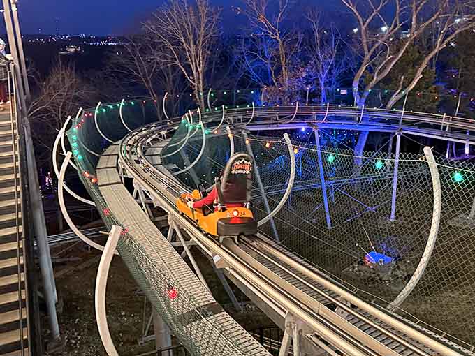 Night rides transform the experience into something magical, like regular coasting but with mood lighting included.