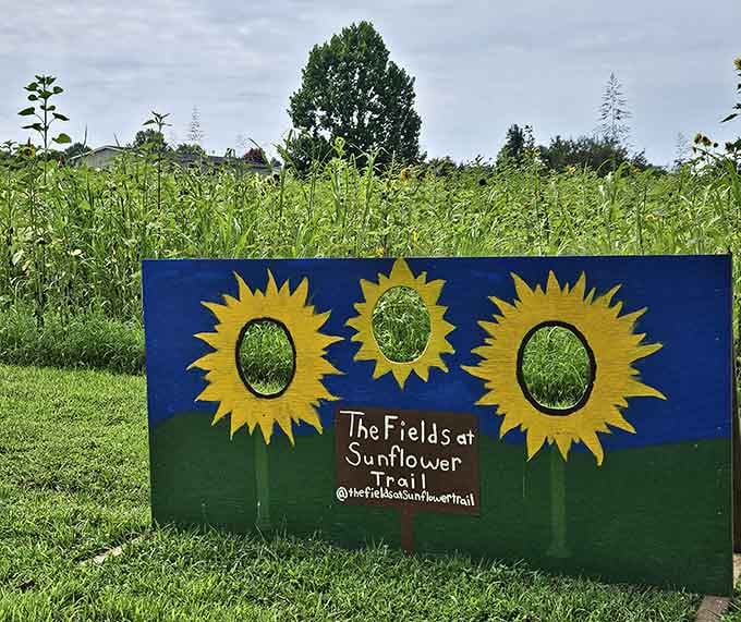 Strike a pose behind the cutout board, because your face surrounded by painted sunflowers is peak wholesome family fun.