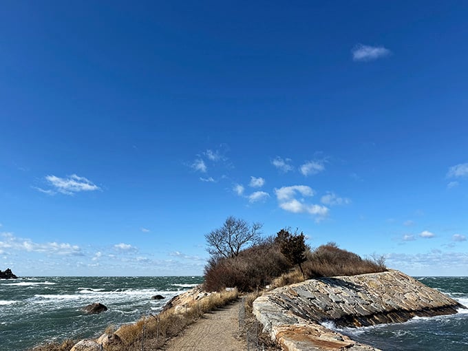 Winter waves crash dramatically against the rocks, proving this spot delivers different magic in every single season.