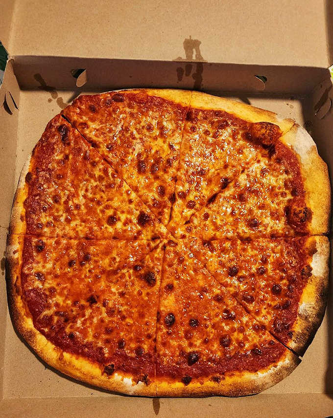 Golden cheese, perfectly charred crust, and that unmistakable look of a pizza that knows it's about to make someone's day complete.