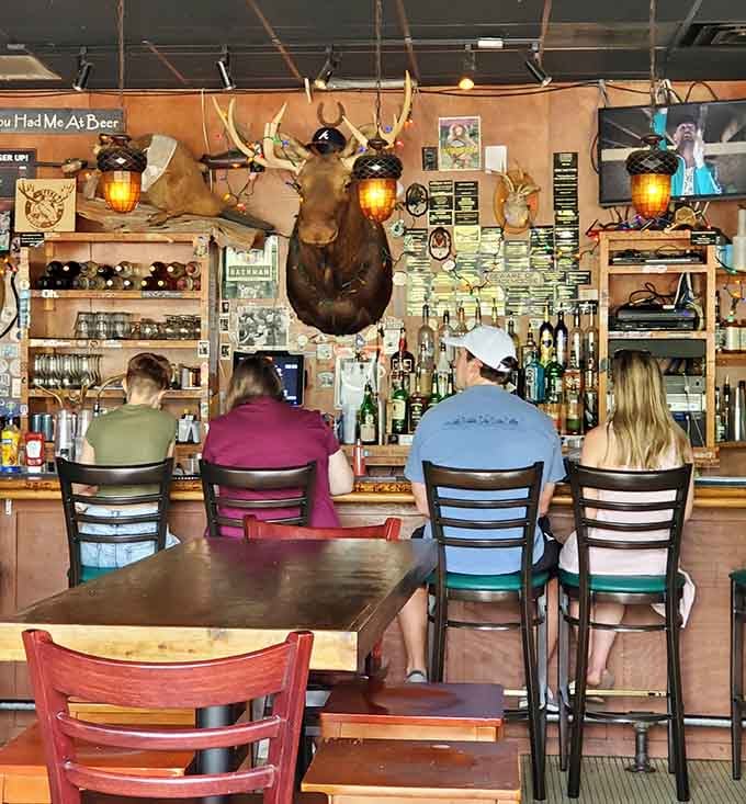 The bar area, complete with mounted moose, serves up cold beers under the watchful eyes of wildlife.