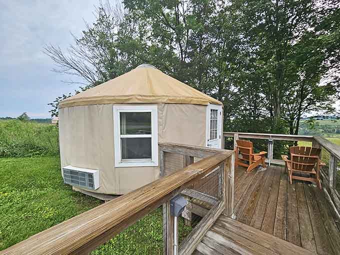 This elevated yurt with its wraparound deck offers glamping that even your camping-averse spouse would enthusiastically approve of.