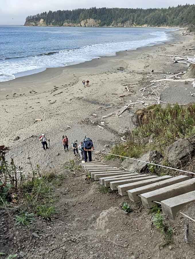 These wooden steps are your gateway between towering forest and endless ocean views ahead.
