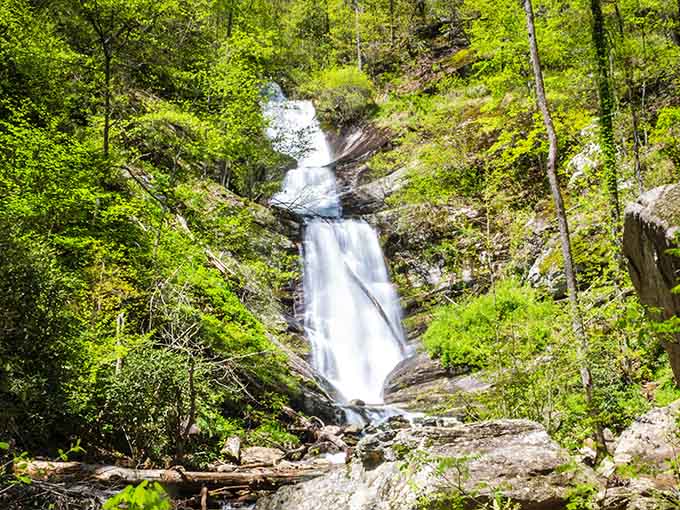 The full cascade reveals itself through the trees, a reward that makes every step worthwhile.
