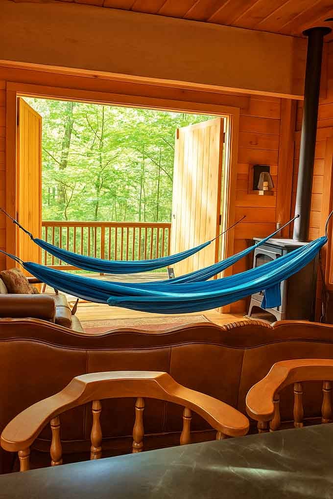 Indoor hammocks strung across the living room, because regular furniture is for people who don't live in trees.