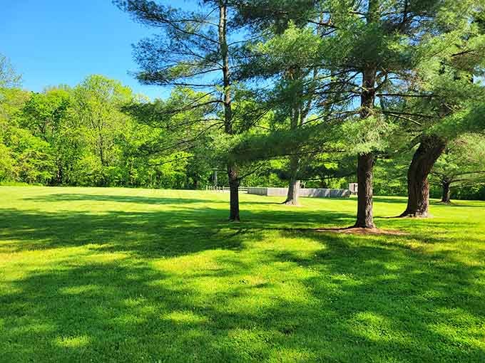 Towering pines cast dappled shadows across pristine grass, perfect for spreading blankets and forgetting your worries.