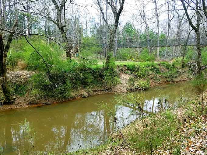 Twelve Mile Creek meanders peacefully below, providing the soundtrack for your entire hike through these woods.