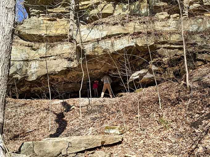 Rock shelters carved by time and weather create natural alcoves perfect for exploring or contemplating existence.