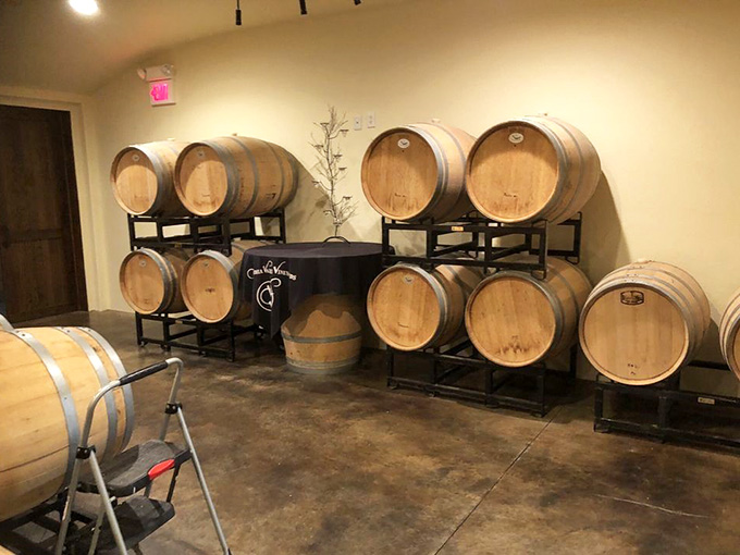 Oak barrels aging wine in peaceful rows; this is where the magic happens before it reaches your glass.