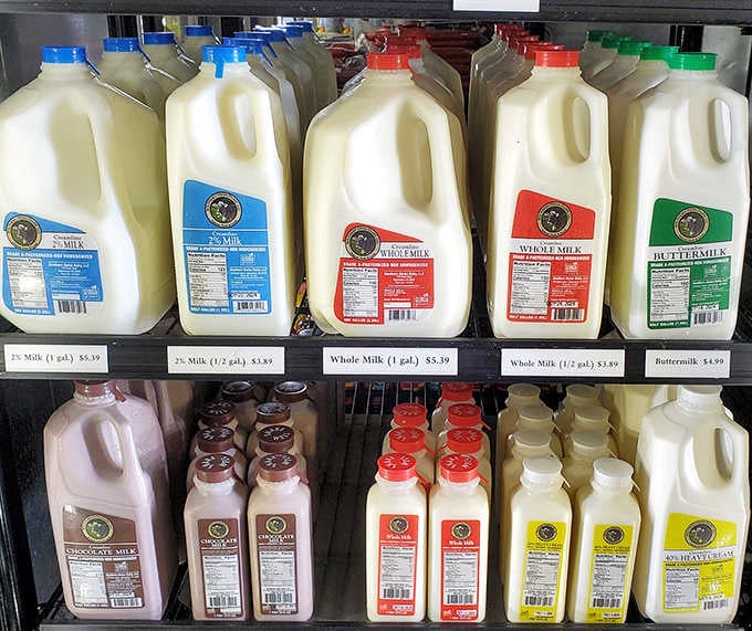 When your milk selection looks like a rainbow, you know you're not in Kansas anymore.