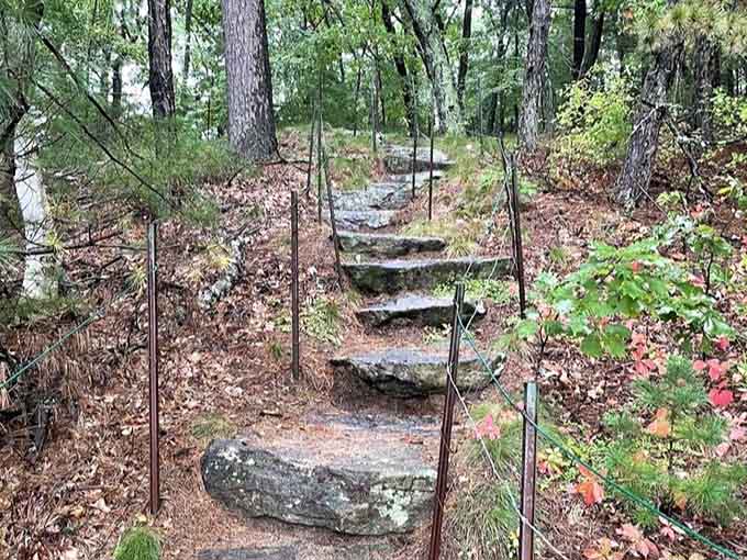 These natural stone steps remind you that not all trails are flat, but the views justify everything.